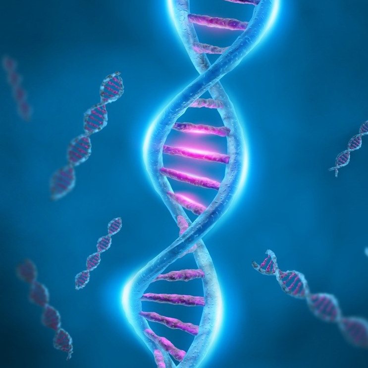 DNA Phi Ratio Tuning Forks Kit - healingsounds.com